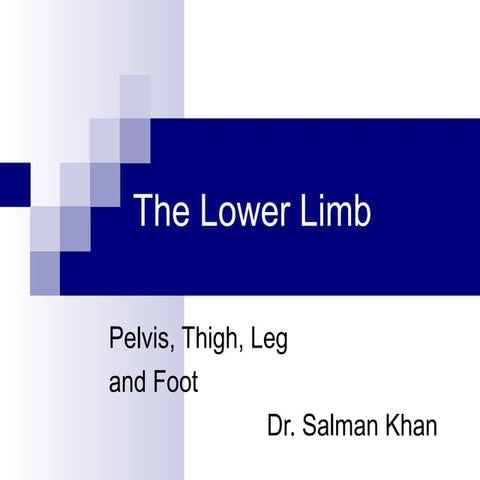 Anatomy of lower extremities | PPTX