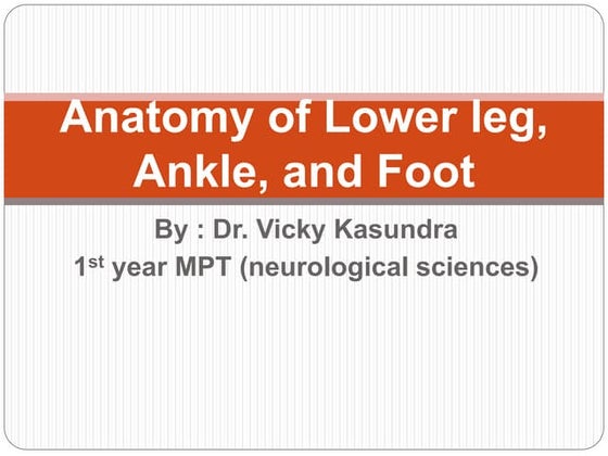 Ligaments of ankle joint (Ankle complex) | PPTX