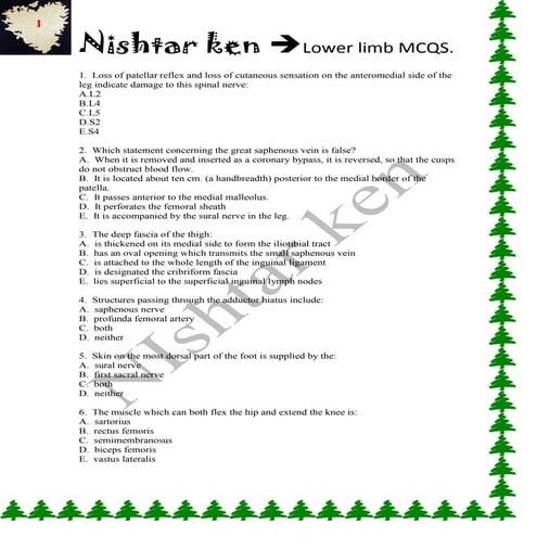 lower limb anatomy MCQs | DOCX