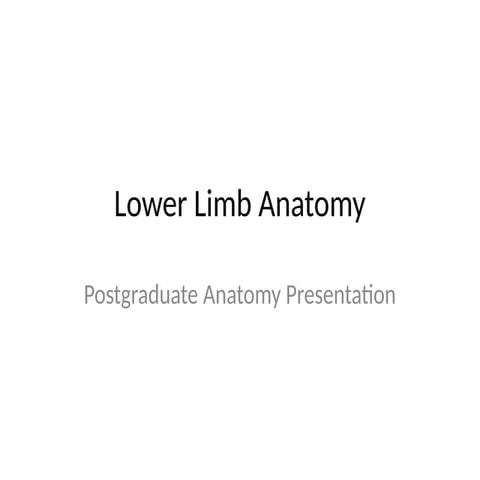 Uterus_Anatomy_Presentation 123 345.pptx