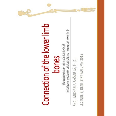 Lower limb connections. | PDF | Bone and Joint Conditions | Diseases ...