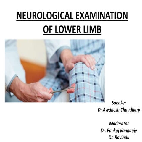 Lower limb neurological examination | PPTX