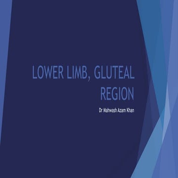 surface marking of lower limb.pptx