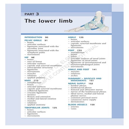 Lower limb nice note | PDF