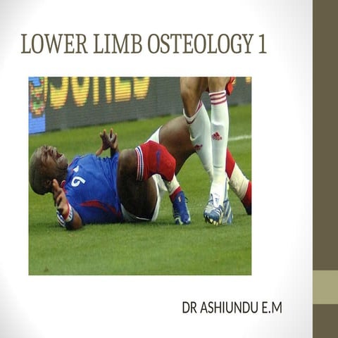 lower limb osteology 1.ppt from the femur to the tibia and fibula to ...