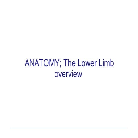 CLASS NOTES ON Lower limb PRESENTATION.ppt