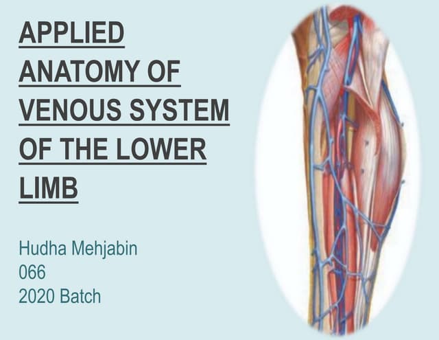 Anatomy of venous system of lower limb | PPTX