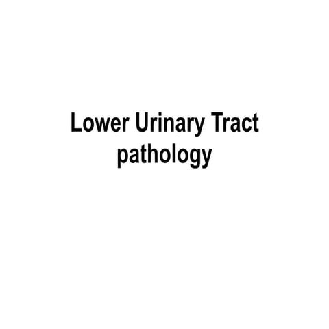 Lower Urinary Tract pathology.ppt