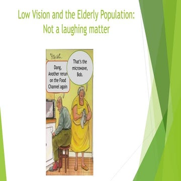Low Vision Conference Presentation | PPTX