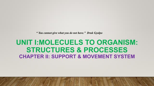 Nernst Equation 3.ppt