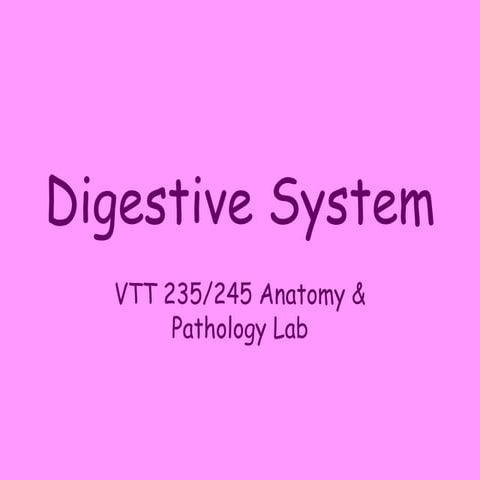 Grade 8 - Digestive System | PPT