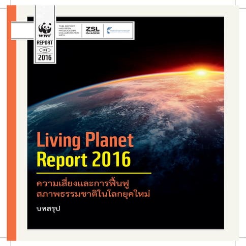 Lpr 2016 summary_th | PDF