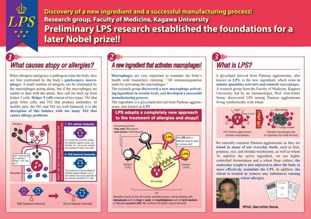 Pinfenon s eng-back | PDF