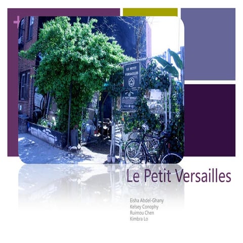 Lpv Presentation Pdf