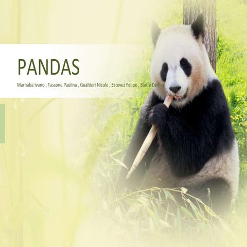 Pandas.pptx | Parenting Babies and Toddlers | Parenting