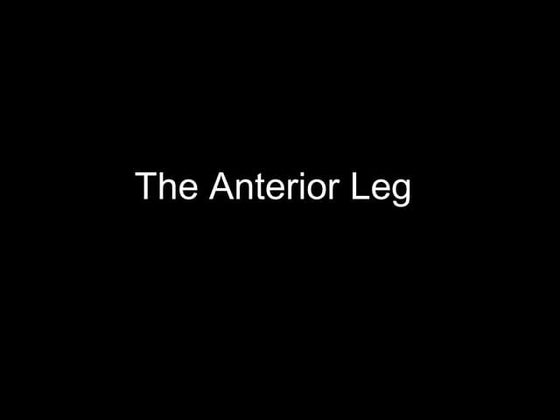 Anatomy of the anterior & lateral compartments of the leg | PPTX