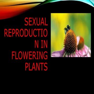 Sexual reproduction in flowering plants | PPT