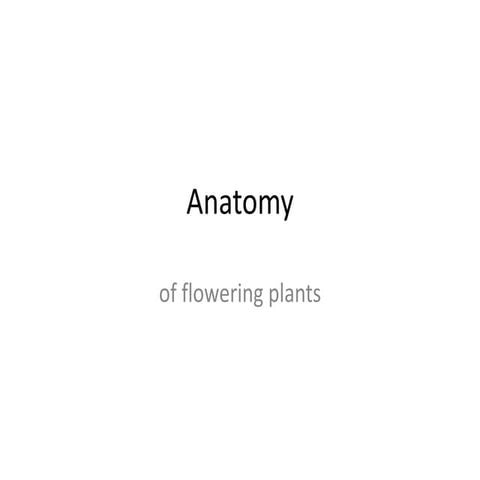 Ch 5-anatomy-flowering-plants | PPTX | Gardening | Home & Garden