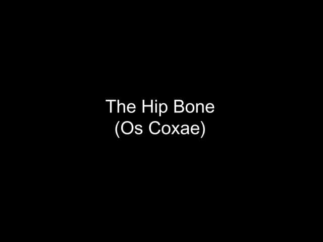 Hip bone (Gross Anatomy) | PPTX