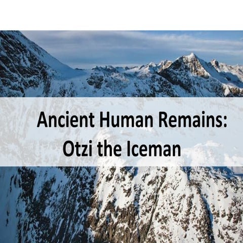 Iceman OItzi pp agt | PPT