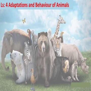Ls.4 Adaptations and Behaviour of Animals.pptx