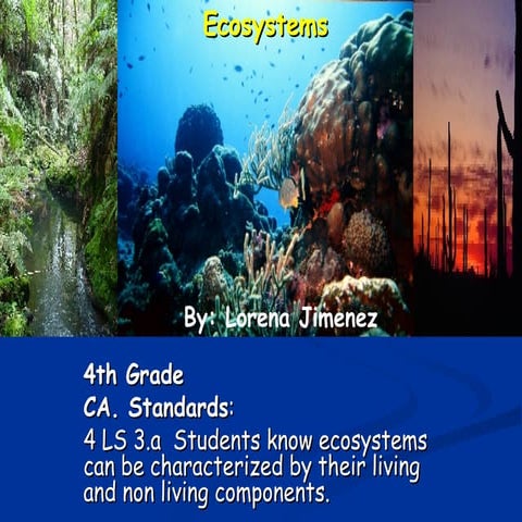 LS ecosystems | PPT