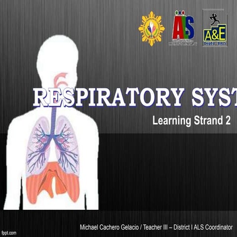 LS 2 3 The Respiratory System | PPTX
