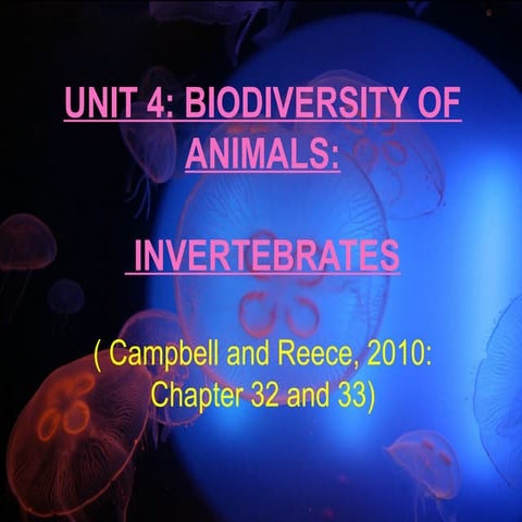 biodiversity of animals invertebrates | PPT