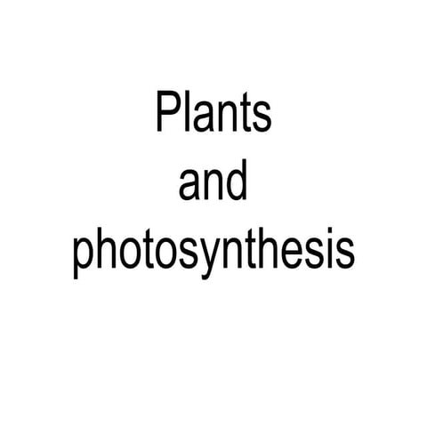 Ls4 photosynthesis | PPT
