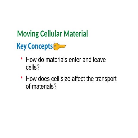 Cell processes | PPT