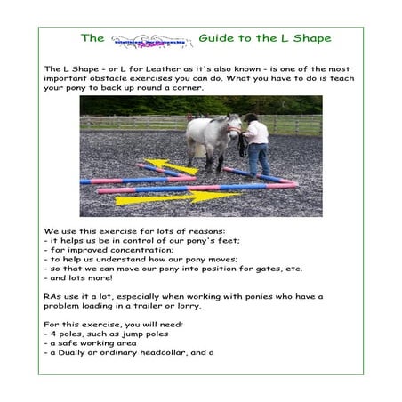L shape | PDF