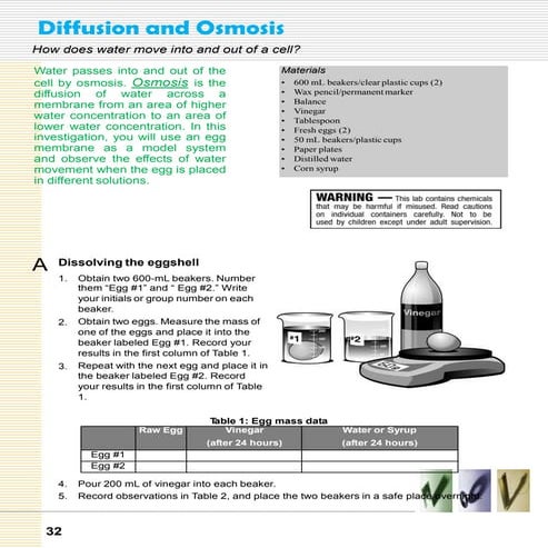 Diffusion And Egg | DOC