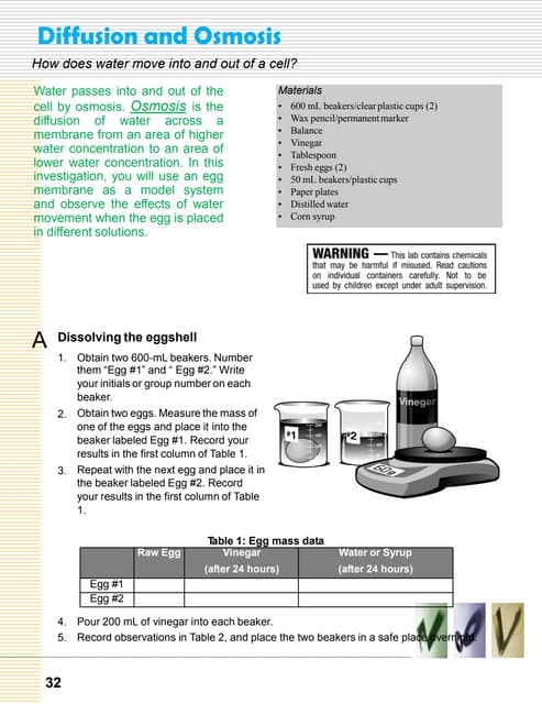 Osmosis and diffusion lab | PDF