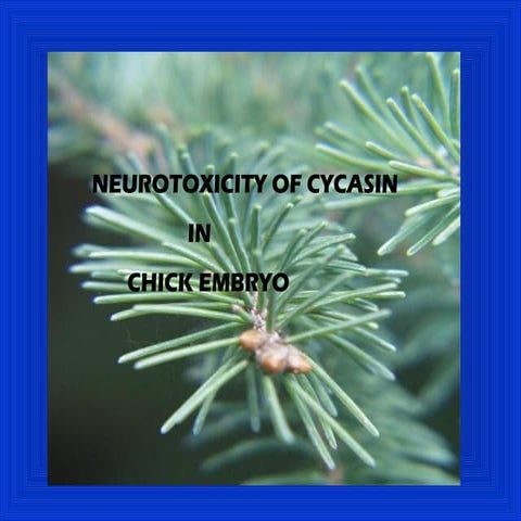 NEUROTOXICITY OF CYCASIN IN CHICK EMBRYO | PPT | Chemistry | Science