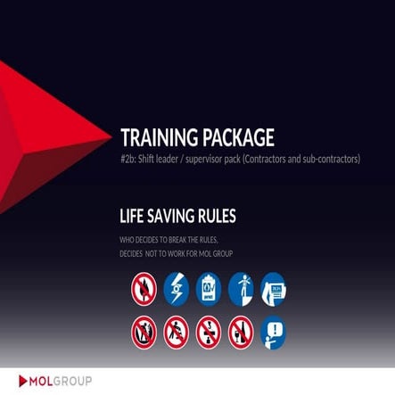 LSR safety.pdf
