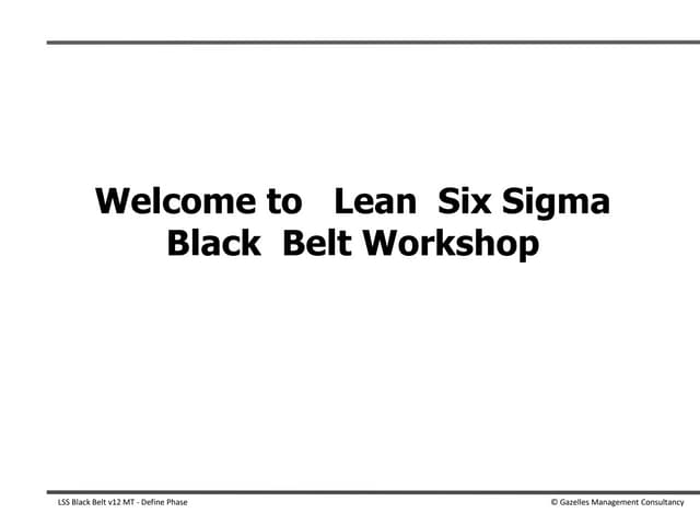 Lean Six Sigma Black Belt Training Part 1 | PPTX