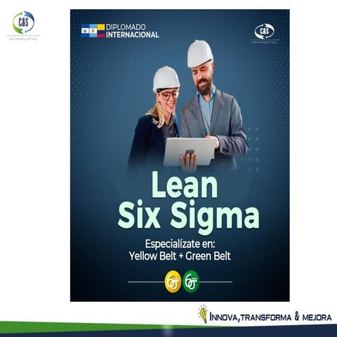 Lean Six Sigma curso de gestión de calidad | PDF