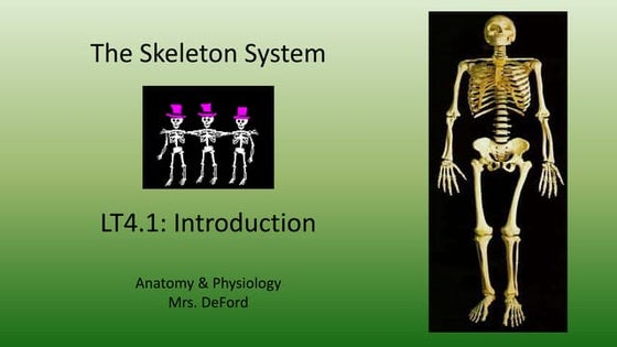 FUNCTIONS OF SKELETAL SYSTEM grade 4pptx | PPTX