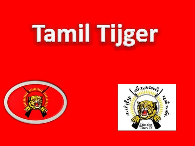 Ltte Flag Meaning