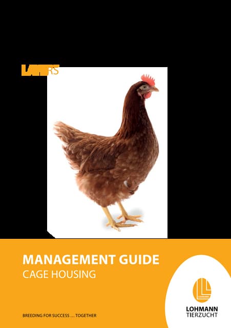 Ross308 broiler nutrition | PDF