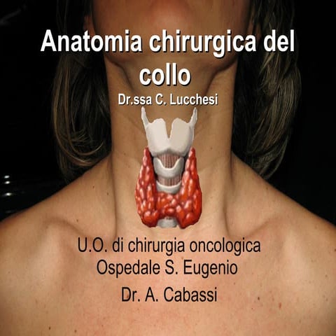 Lucchesi Christiana. Anatomia chirurgica del collo. ASMaD 2011 | PPT