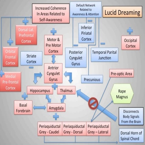 Dreaming - Lucid Dreaming | PPT