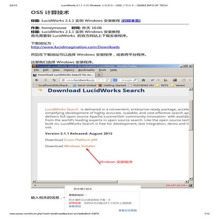 Lucid works 2.1.1 实例 windows 安装教程 | PDF