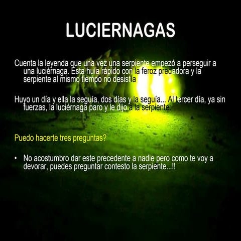 Historia de la luciérnaga | PPS