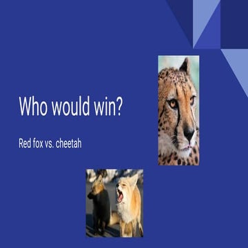 Lucy who would win- | PPTX