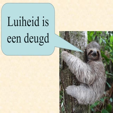 Leve de Luiheid - Johan Braeckman | PDF