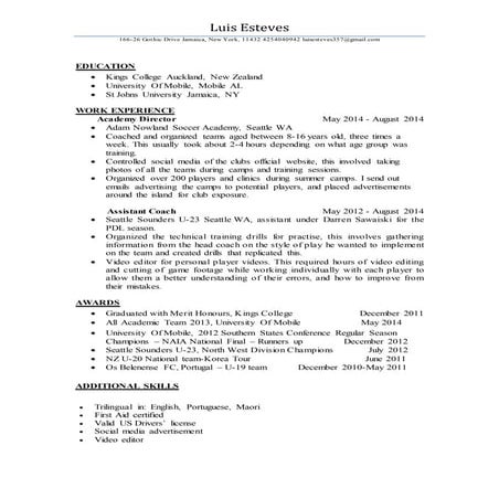 Luis Esteves resume | DOCX