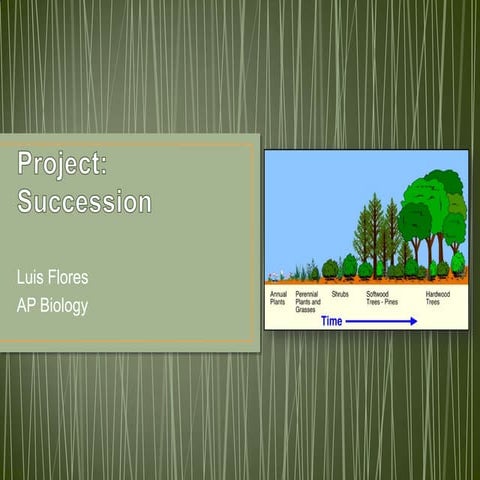 Ecological succession | PDF