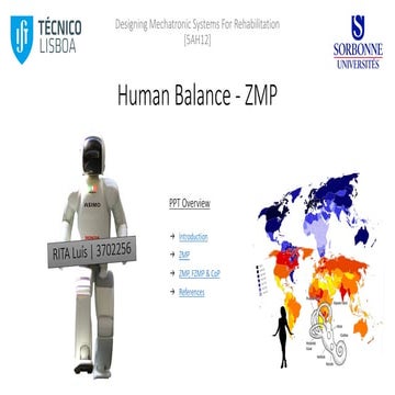 Human Balance - Anatomy & ZMP | PDF