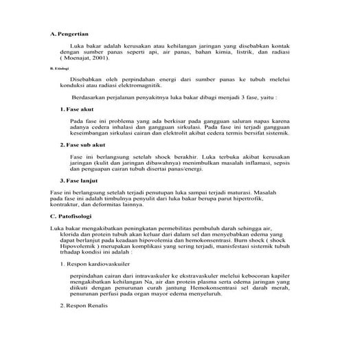 Luka bakar pyo | DOC